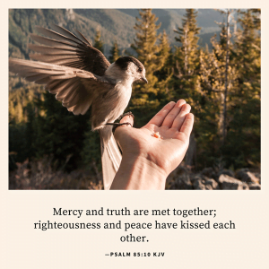 95 Bible Verses about Peace (KJV) | StillFaith.com