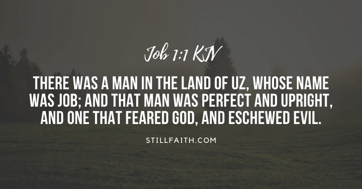 Top 25 Most Popular Bible Verses in Job | StillFaith.com
