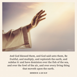 100 Bible Verses about Stewardship (KJV) | StillFaith