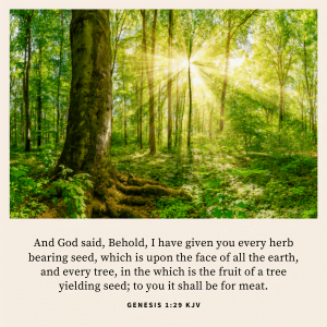 94 Bible Verses about Spilling Your Seed (KJV) | StillFaith.com