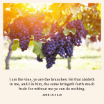 100 Bible Verses about Growth (KJV) | StillFaith.com